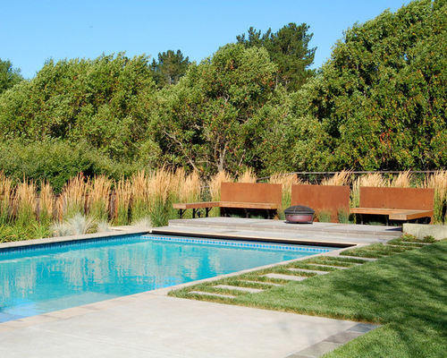 The Best Plants for Swimming Pool Landscaping - My Pool Guy